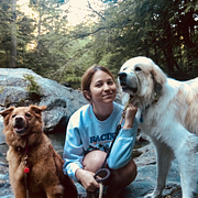 Leah's Pet Sitting, Dog Walking & Drop-In Pet Care Services - Front ...